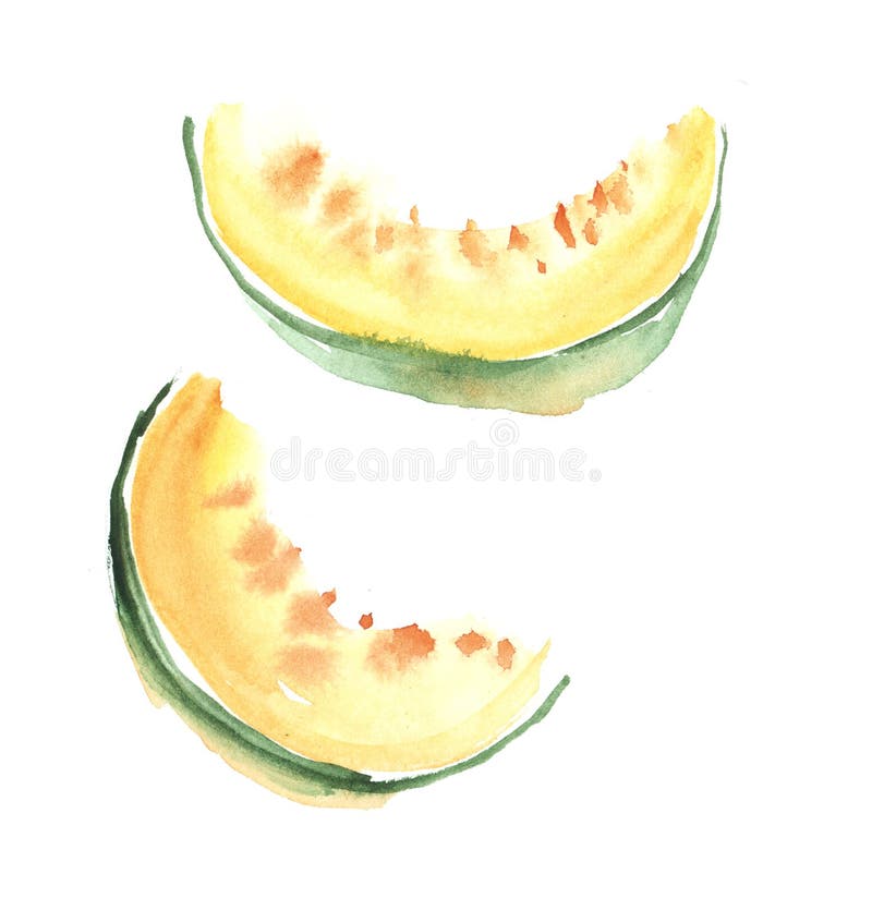 Fruta Del Melón Dulce Gráfico De La Acuarela Stock de ilustración - Ilustración de polluelo ...
