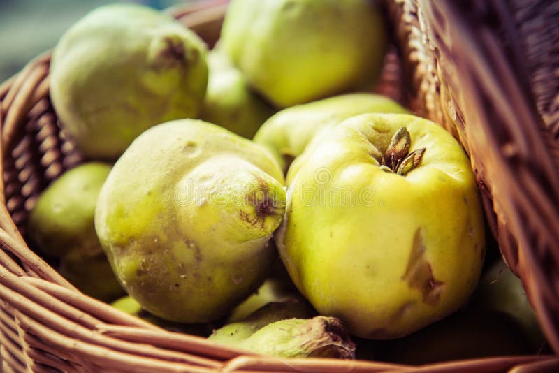 Fruta del membrillo foto de archivo. Imagen de ingrediente - 131295668