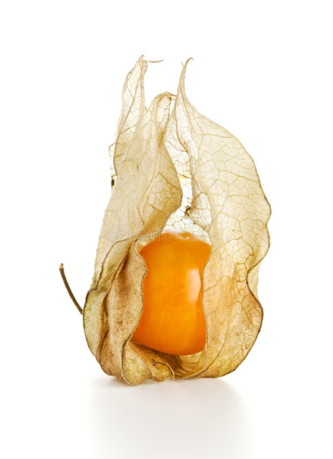 Fruta del Physalis foto de archivo. Imagen de cabo, aislado - 18035968