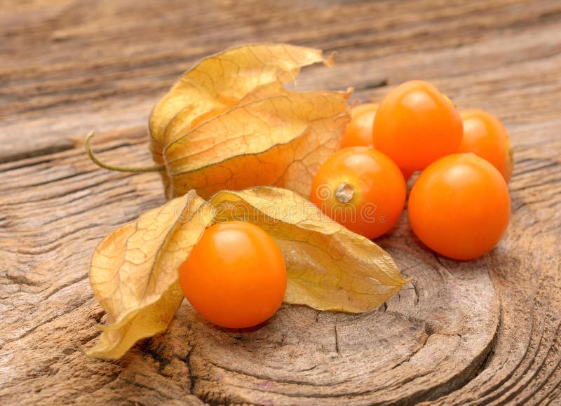 Physalis foto de archivo. Imagen de casero, sano, frescura - 86572016