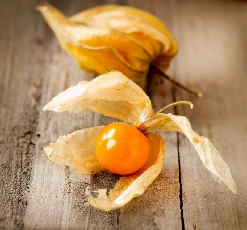 Physalis imagen de archivo. Imagen de comer, verde, hoja - 17221237