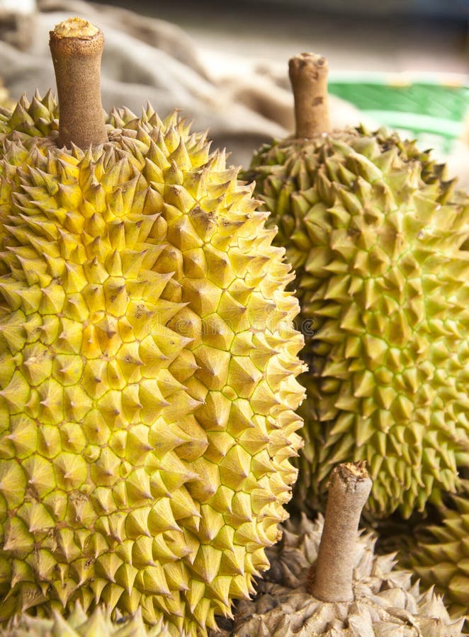 Fruto do Durian foto de stock. Imagem de mercado, verde - 40308166