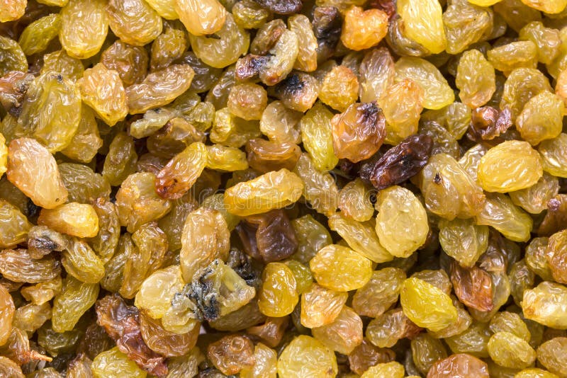 Fruta escarchada imagen de archivo. Imagen de bocado - 40657457