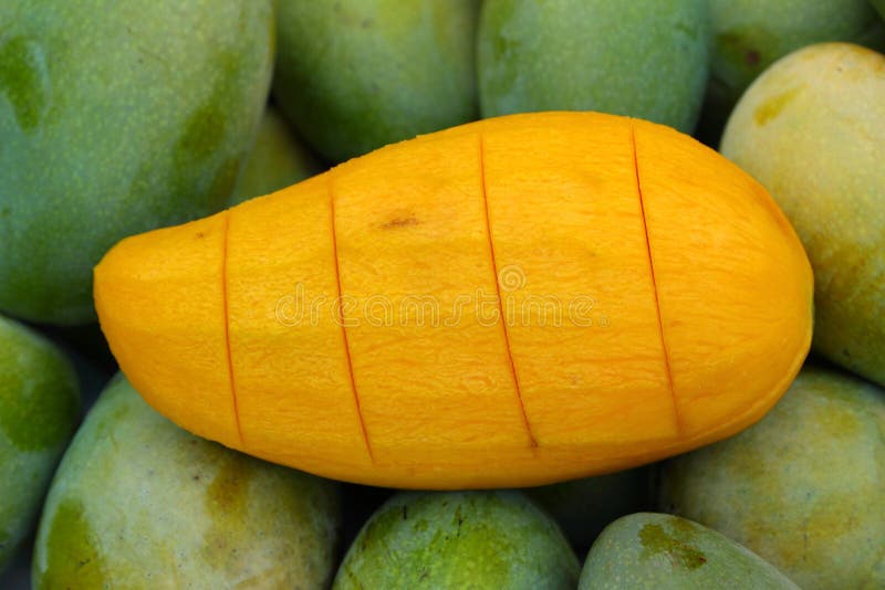 Fruta madura da manga foto de stock. Imagem de tailandês - 25521184
