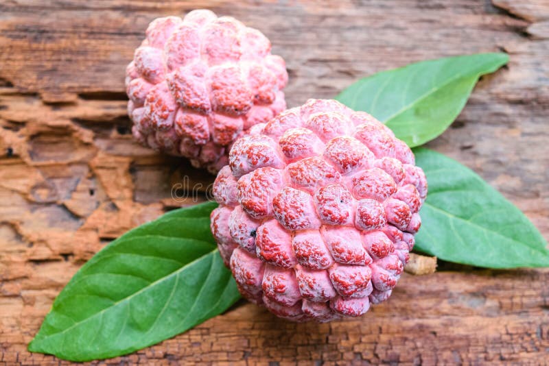 imágenes comunes del Fruta Tropical De La Anona - los derechos de la ...