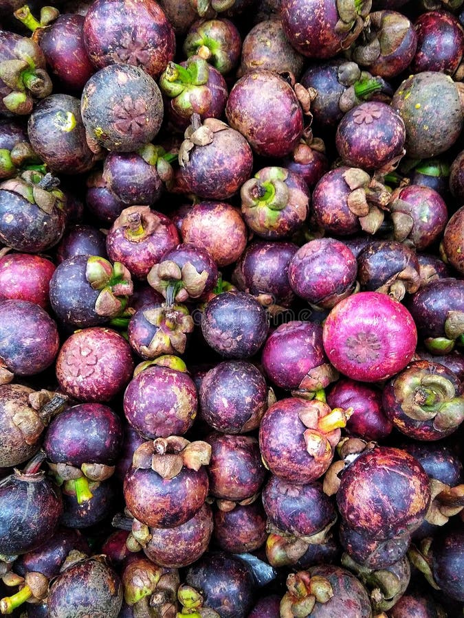 207,730 Do Fruta Roxa Fotos - Fotos de Stock Gratuitas e Fotos Royalty ...