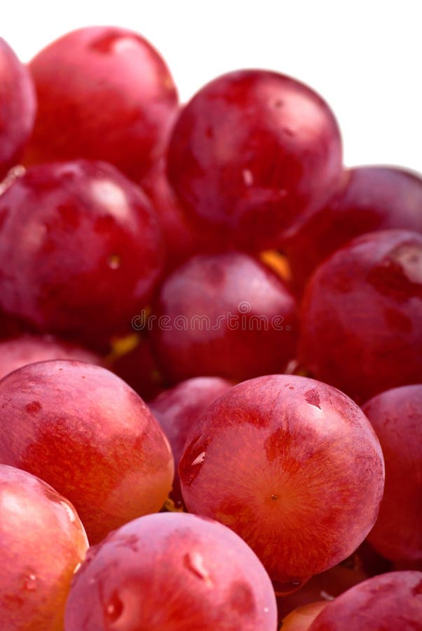 Fruta roxa da uva foto de stock. Imagem de ninguém, roxo - 16131064