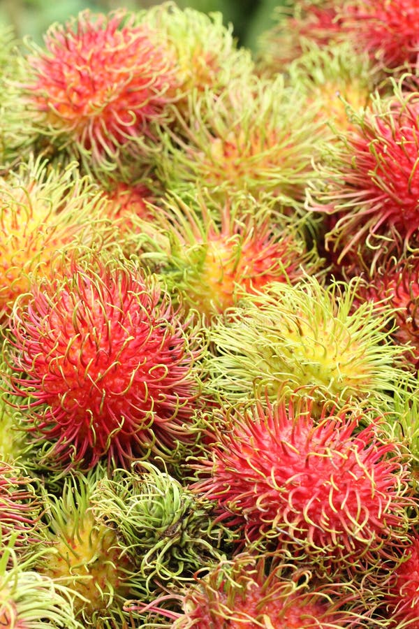 Fruta Tropical De Los Rambutans Imagen de archivo - Imagen de comer ...