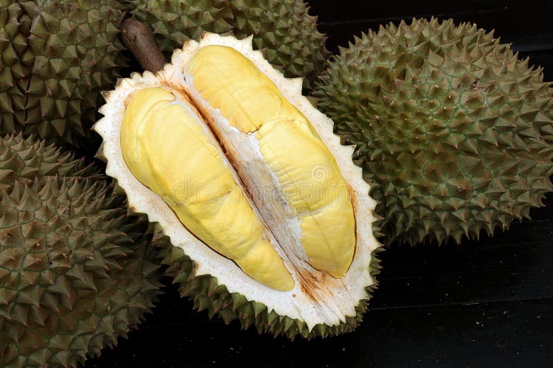 Fruta, Tropical, Durian, Rey De La Fruta Tropical Imagen de archivo ...