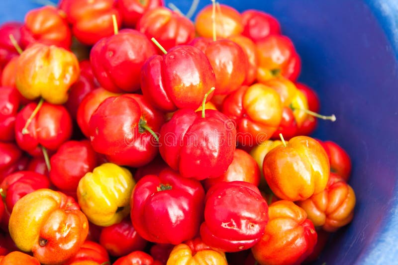 Fruta Tropical, Jerez De La Llamada De Tailandia Foto de archivo ...