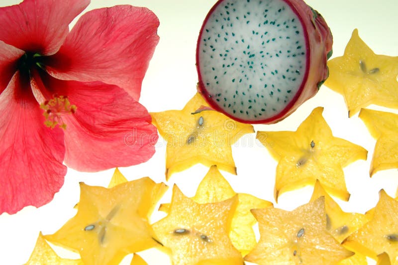 Fruta tropical y flor foto de archivo. Imagen de tropical - 1173300