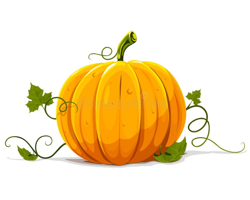 Fruta Vegetal De La Calabaza Del Vector Aislada Stock de ilustración ...