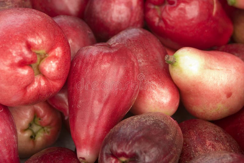 Fruta Vermelha Dois Da Pera Imagem de Stock - Imagem de crescimento ... Fruta Vermelha Dois Da Pera Imagem de Stock - Imagem de crescimento ...