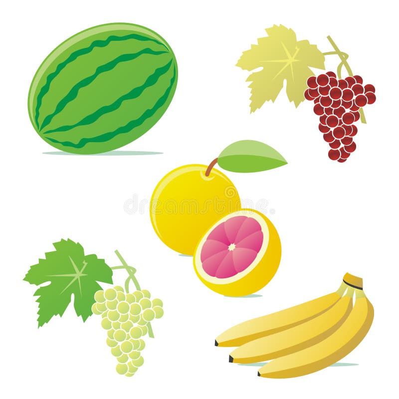 Frutas aisladas del vector ilustración del vector. Ilustración de icono ...
