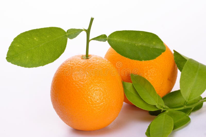 Frutas anaranjadas frescas foto de archivo. Imagen de mandarina - 7435524