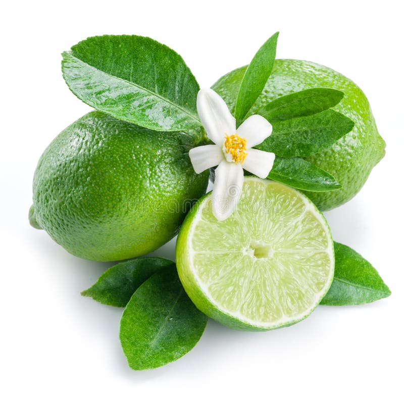 Frutas De Lima Madura Sobre Fondo Blanco Foto de archivo - Imagen de ...