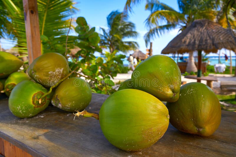 Frutas Del Caribe Del Coco En Maya De Riviera Imagen de archivo ...