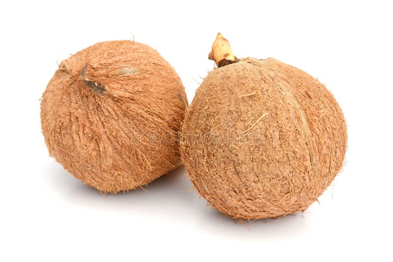 Frutas Del Coco Sobre Las Hojas Foto de archivo - Imagen de agua ...