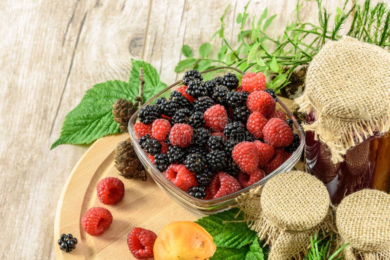 Frutas Deliciosas Y Sanas Del Bosque Foto de archivo - Imagen de sano ...