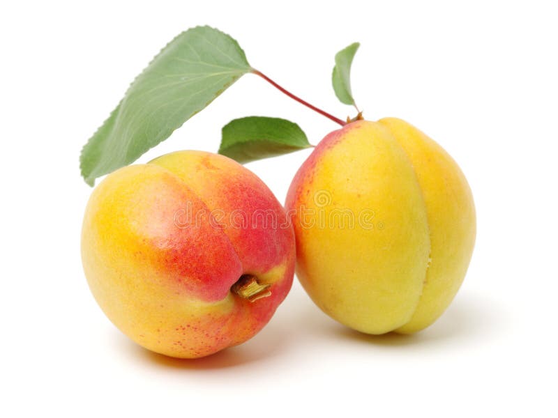 Frutas Do Alperce Com Folha Verde Foto de Stock - Imagem de alperce ...