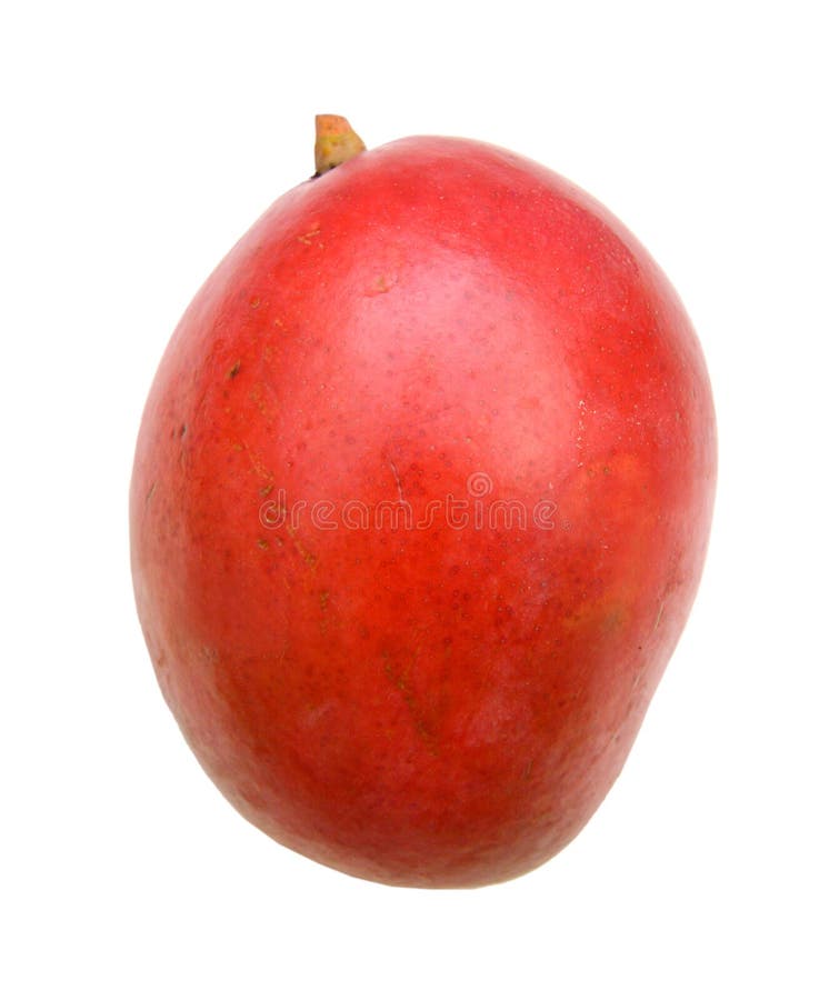 Mango Entero Aislado En Blanco Imagen de archivo - Imagen de aislado ...