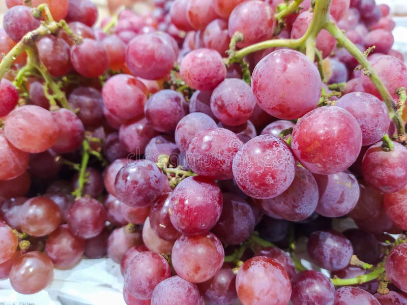 Frutas Frescas De Groselha Preta Imagem de Stock - Imagem de vegetal ...