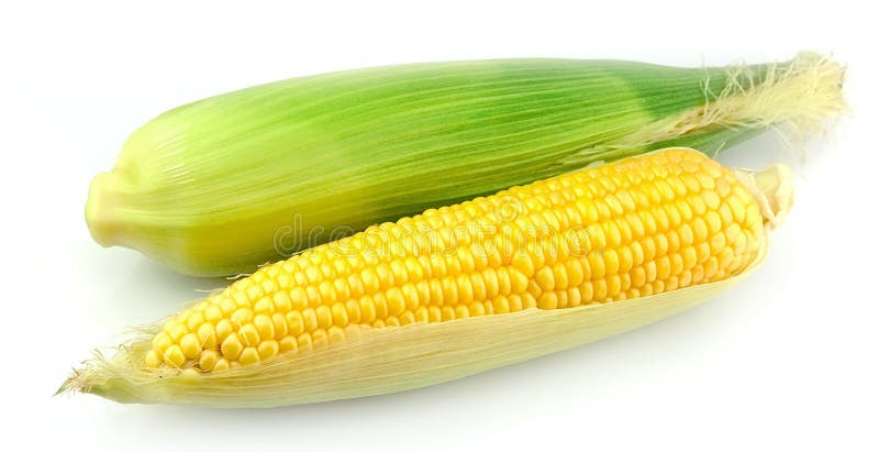 Frutas frescas do milho foto de stock. Imagem de verde - 20738462