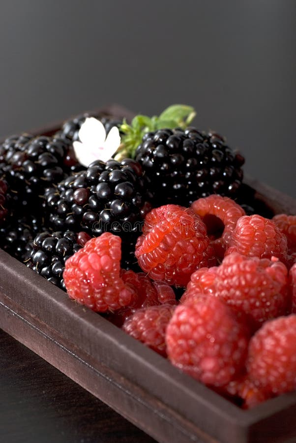 Frutas rojas imagen de archivo. Imagen de salvaje, arbustos - 17604431