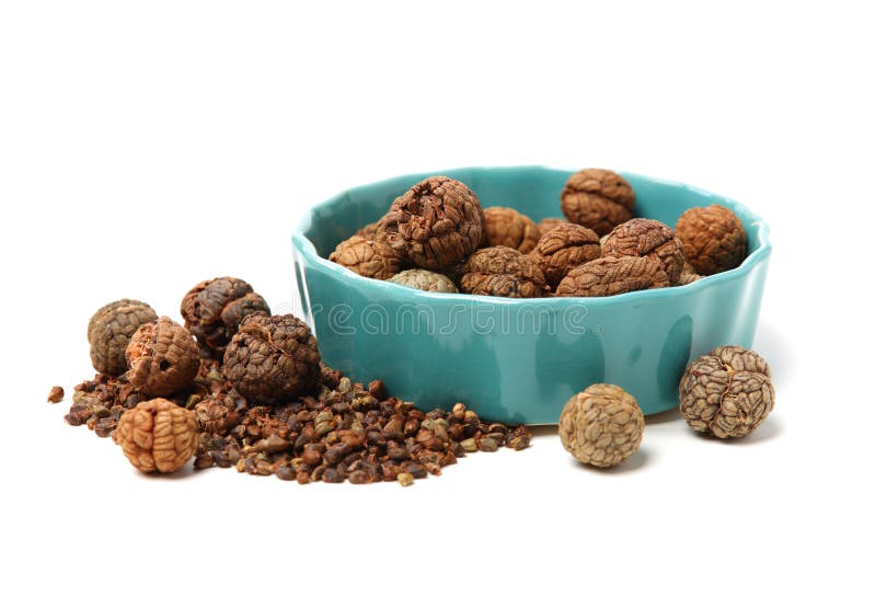 Frutas Secas Del Eucaliptus Globulus Labill Imagen de archivo - Imagen ...