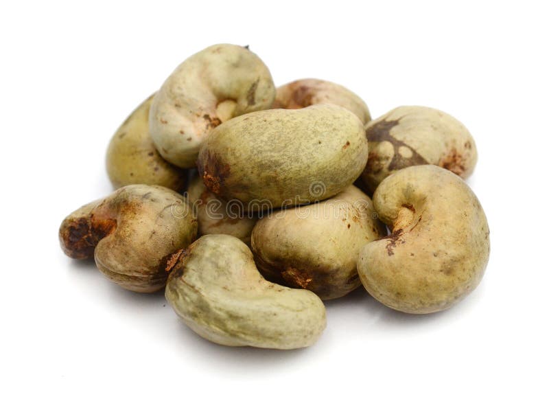 Frutas Tropicales Del Anacardo En El Fondo Blanco Imagen de archivo ...