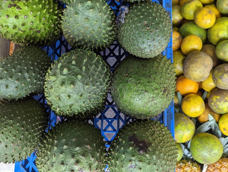 Frutas Tropicales En El Mercado Del Ecuador Foto de archivo - Imagen de ...