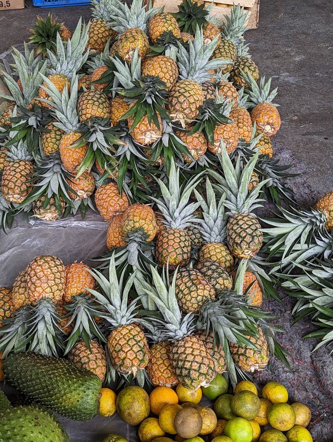 Frutas Tropicales En El Mercado Del Ecuador Foto de archivo - Imagen de ...