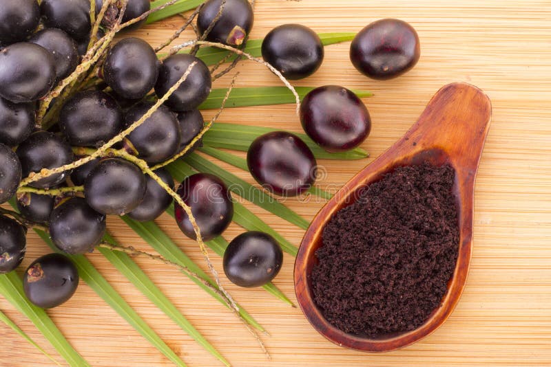 Frutas y polvo del acai imagen de archivo. Imagen de polvo - 95321685