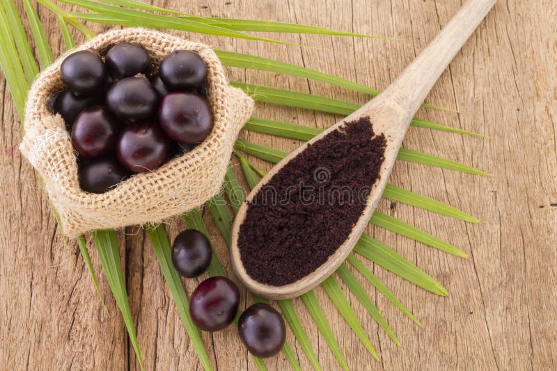 Frutas y polvo del acai imagen de archivo. Imagen de polvo - 95321811