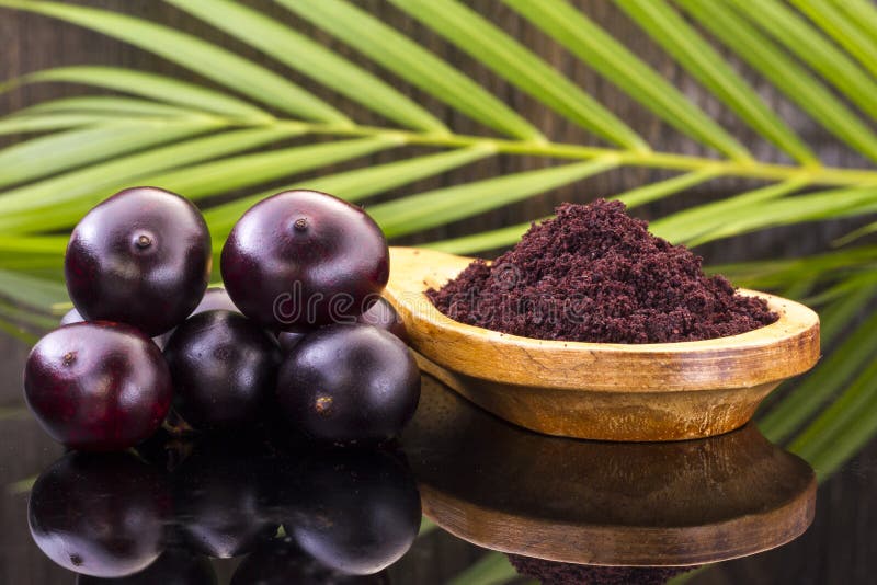 Frutas y polvo del acai imagen de archivo. Imagen de fresco - 95321853