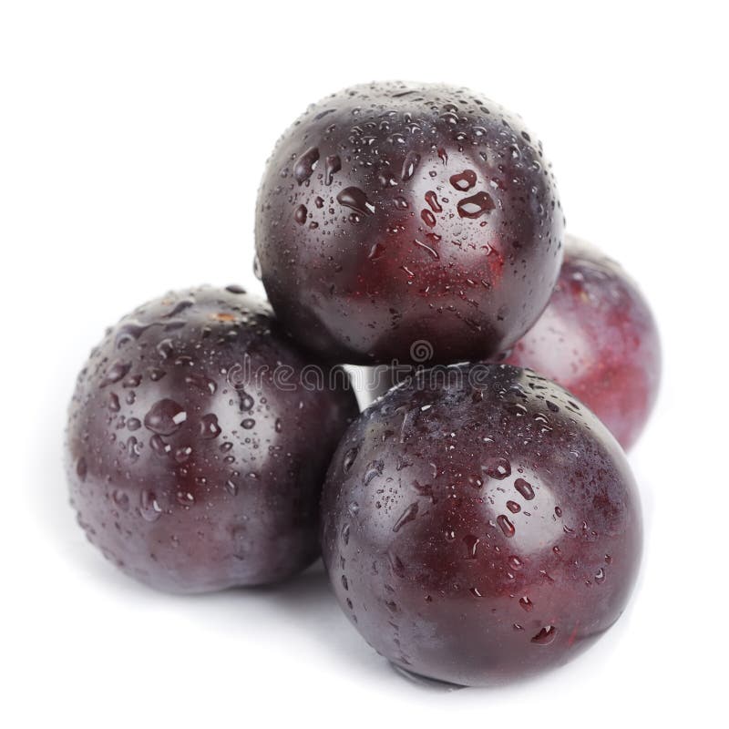 Fruto Da Ameixa Com Orvalho Imagem de Stock - Imagem de ninguém, fruta ...