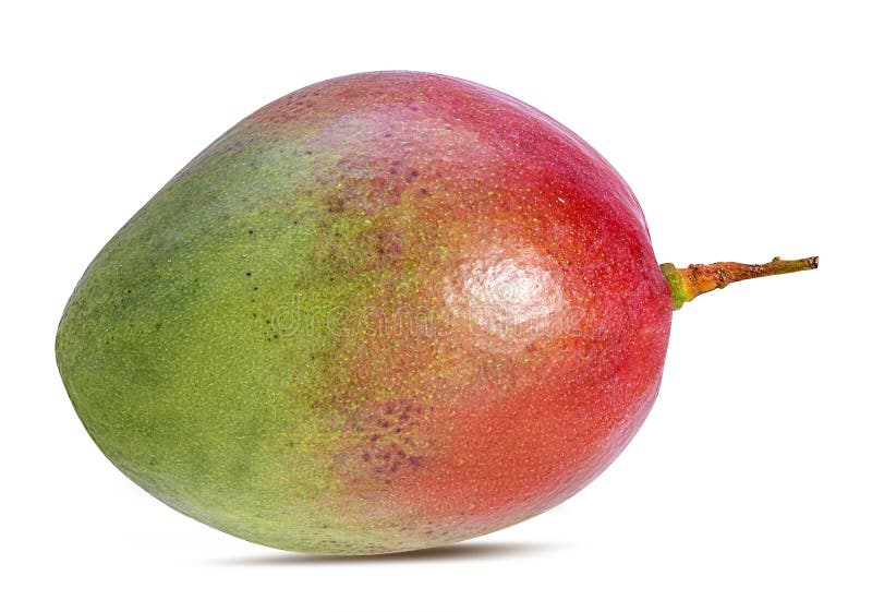 Fruto Da Manga Isolado No Branco Foto de Stock - Imagem de branco ...