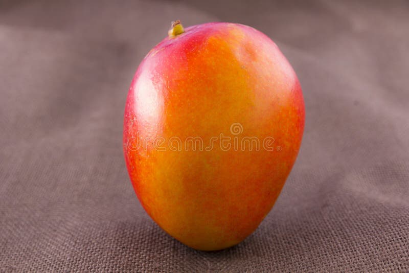Fruto Da Manga Isolado No Fundo Marrom Foto de Stock - Imagem de maduro ...