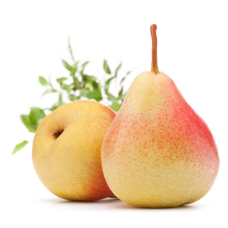 Fruto Da Pera Isolado No Entalhe Branco Do Fundo Foto de Stock - Imagem ...