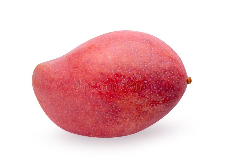 Fruto De Mango Aislado En Un Fondo Blanco Foto de archivo - Imagen de ...