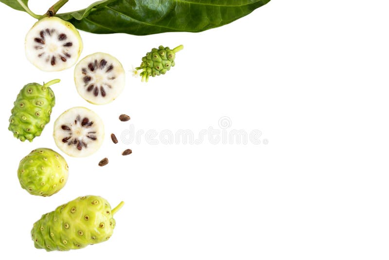 Fruto De Noni Ou Morinda Citrifolia E Fatia Do Noni Com Semente E GR ...