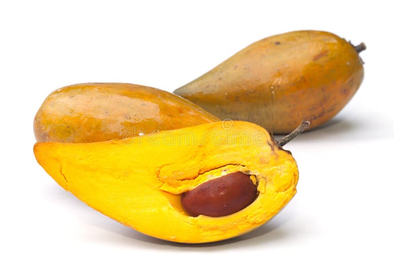 Fruto de Tiesa isolado imagem de stock. Imagem de gostoso - 32711919