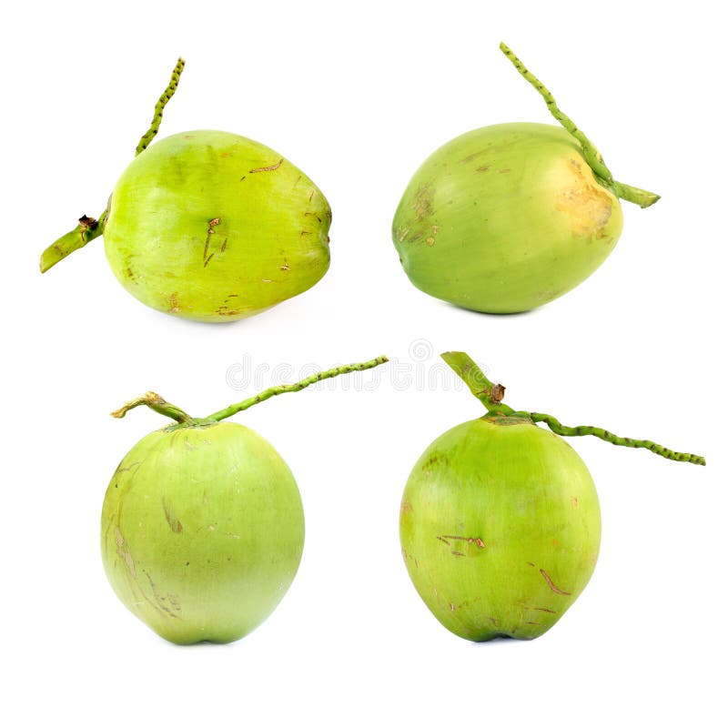 Fruto Do Coco Isolado No Fundo Branco Foto de Stock - Imagem de ...
