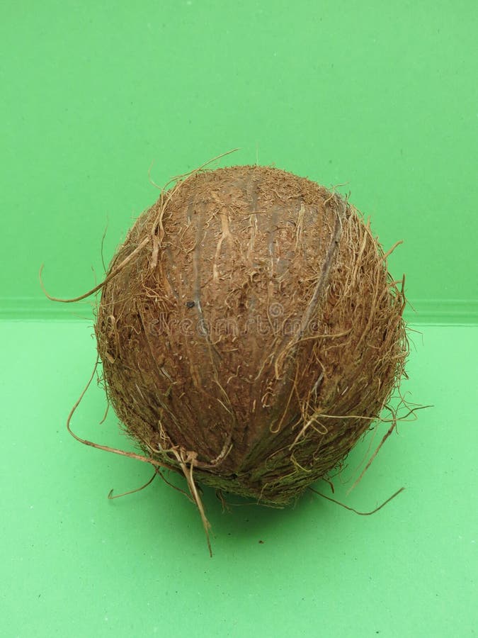 Fruto Do Coco Sobre a Luz - Fundo Azul Imagem de Stock - Imagem de ...