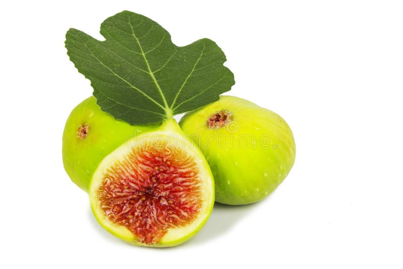 Fruto do figo foto de stock. Imagem de foto, azul, fruta - 32980366