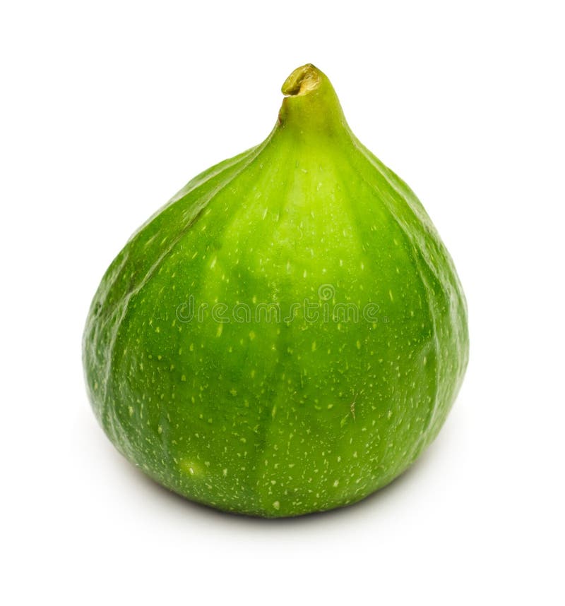 Fruto Verde Do Figo Com a Folha Isolada No Branco Foto de Stock ...