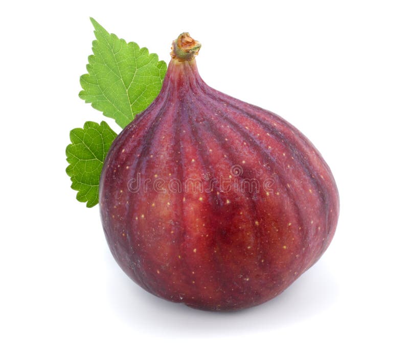 Fruto Verde Do Figo Com A Folha Isolada No Branco Foto de Stock ...