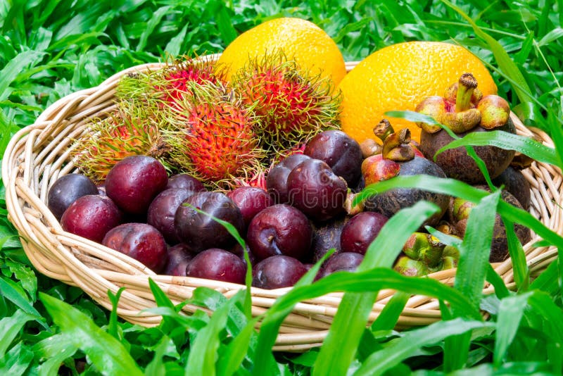 Fruto na cesta de bambu foto de stock. Imagem de alimento - 54851706