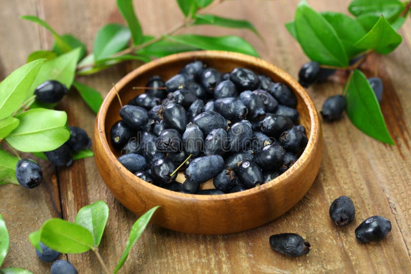 Fazendo o licor da murta foto de stock. Imagem de frasco - 107980056