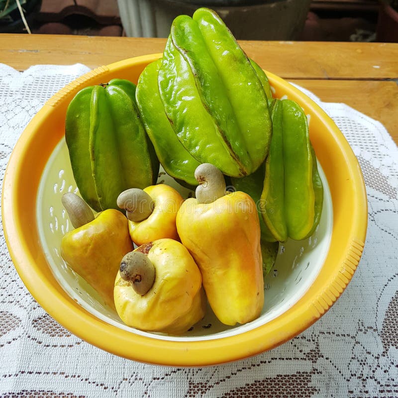 Frutos De Casca Rija Verdes E Frutos De Caju Foto de Stock - Imagem de ...